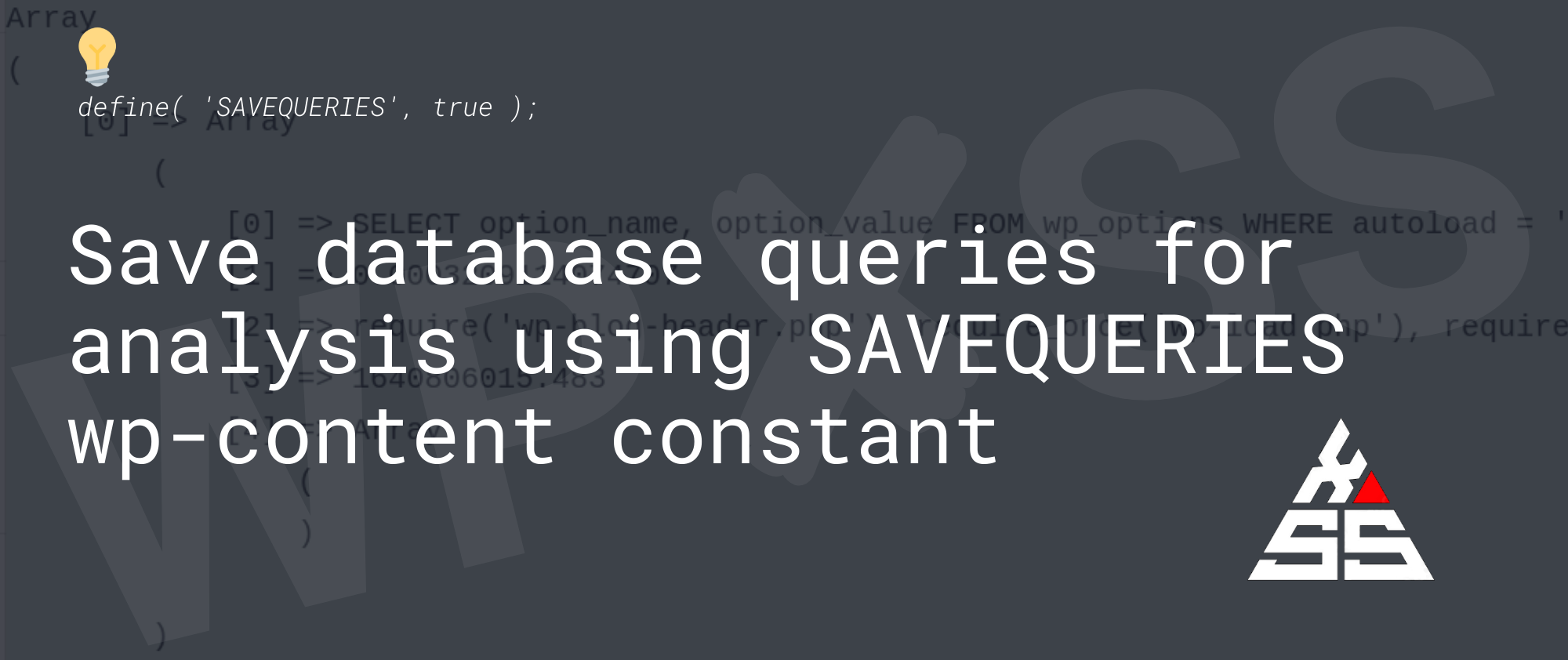 Save Database Queries For Analysis In WordPress WpXSS