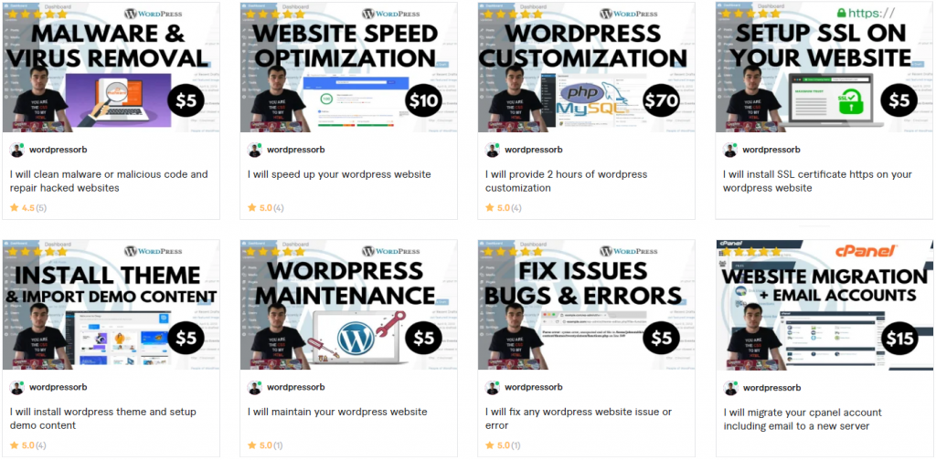 WordPress Services - wpXSS